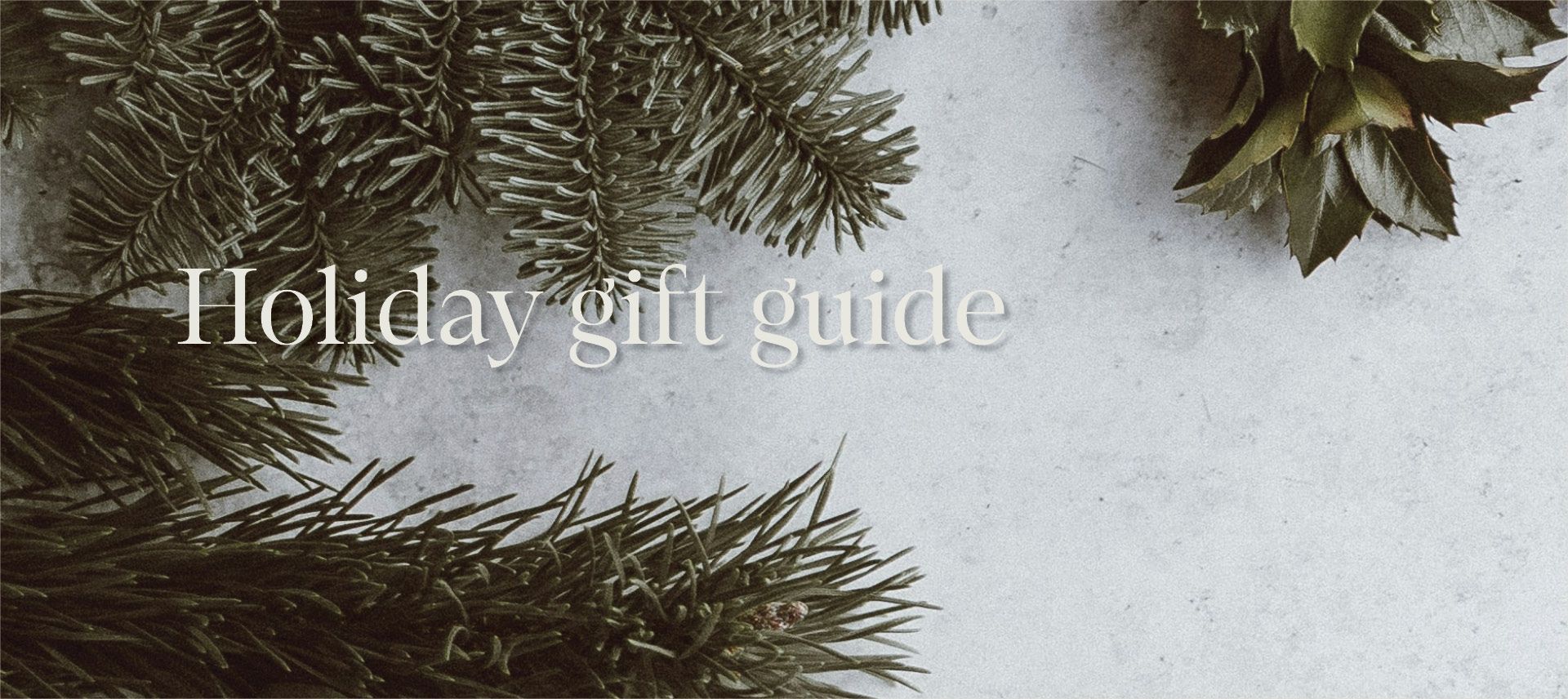 Holiday Gift Guide